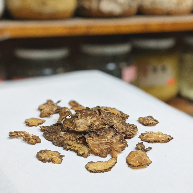 Chuan Xiong （川芎） - Nam Bac Hang