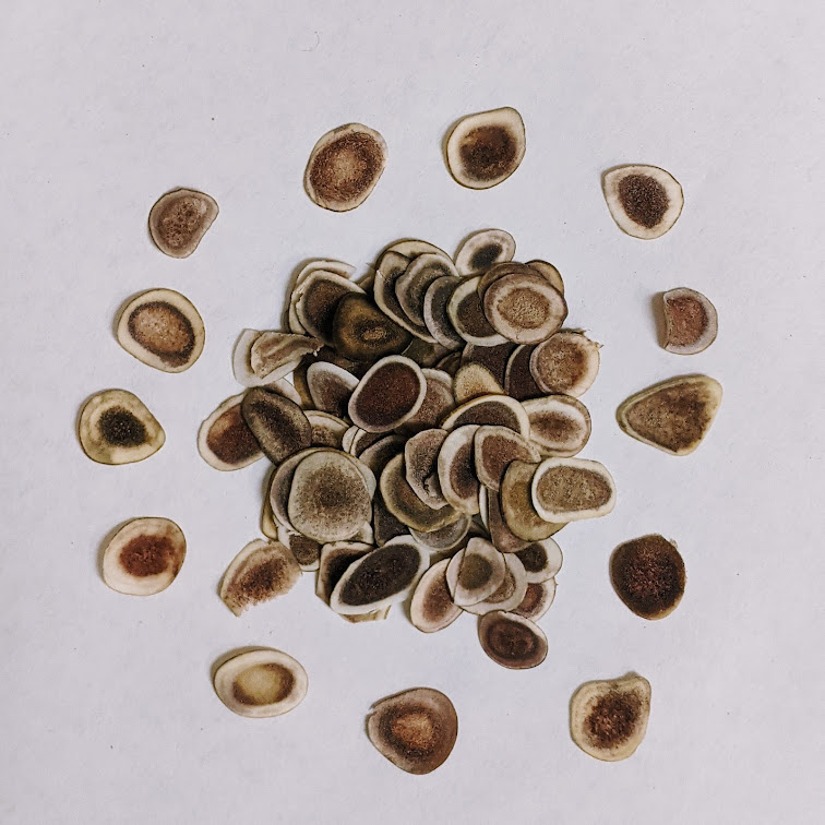 Lu Rong （鹿茸） - Nam Bac Hang