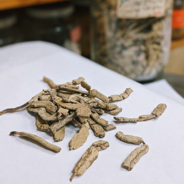 Ba Ji Tian （巴戟天） - Nam Bac Hang