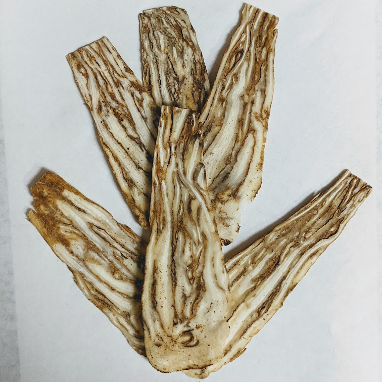 Dang Gui （当归） - Nam Bac Hang