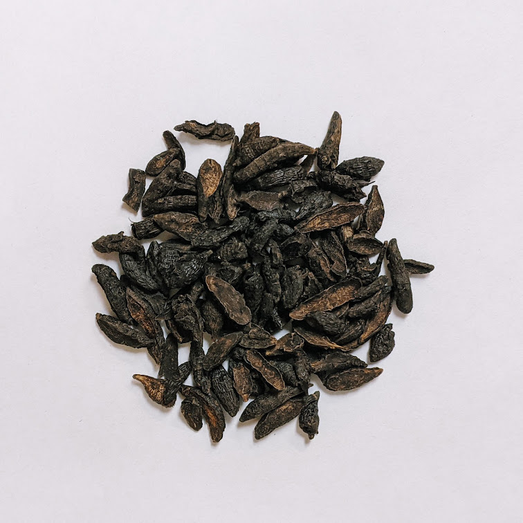 Xiang Fu （香附） - Nam Bac Hang