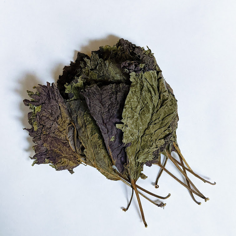 Zi Su Ye （紫苏叶） - Nam Bac Hang