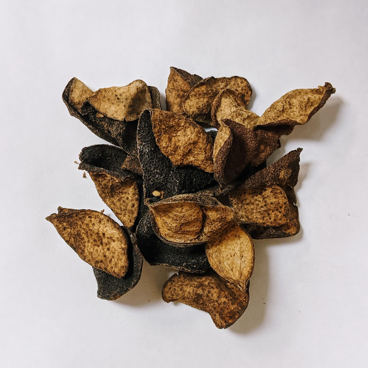 Chen Pi (陈皮） - Nam Bac Hang