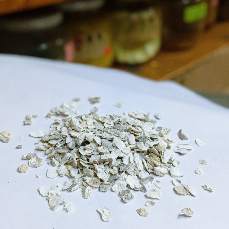 Mu Li （牡蛎） - Nam Bac Hang