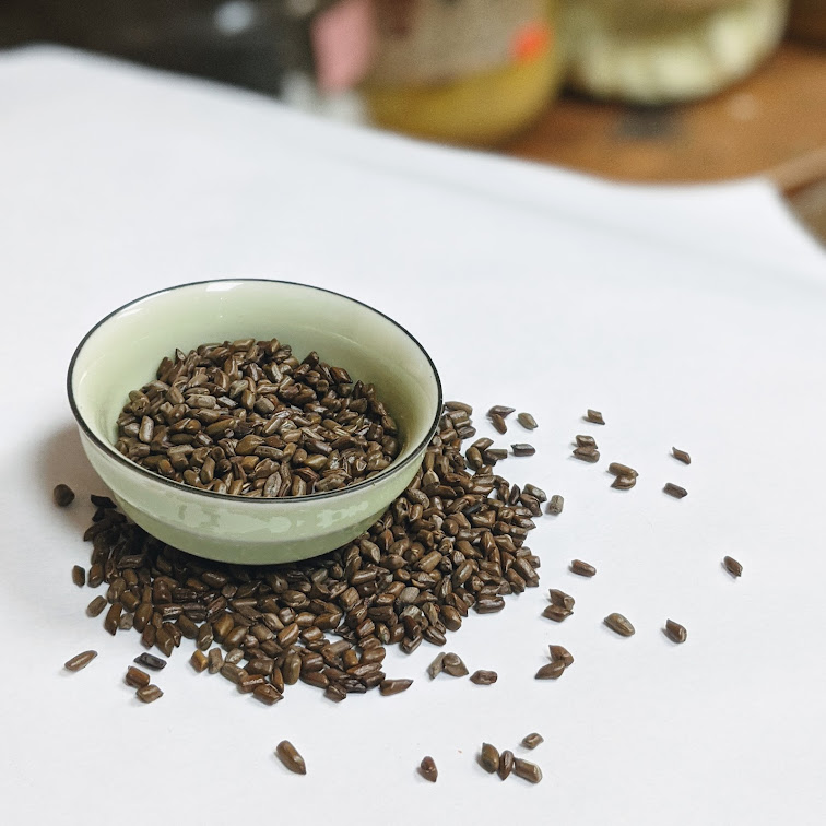 Jue Ming Zi （决明子） - Nam Bac Hang